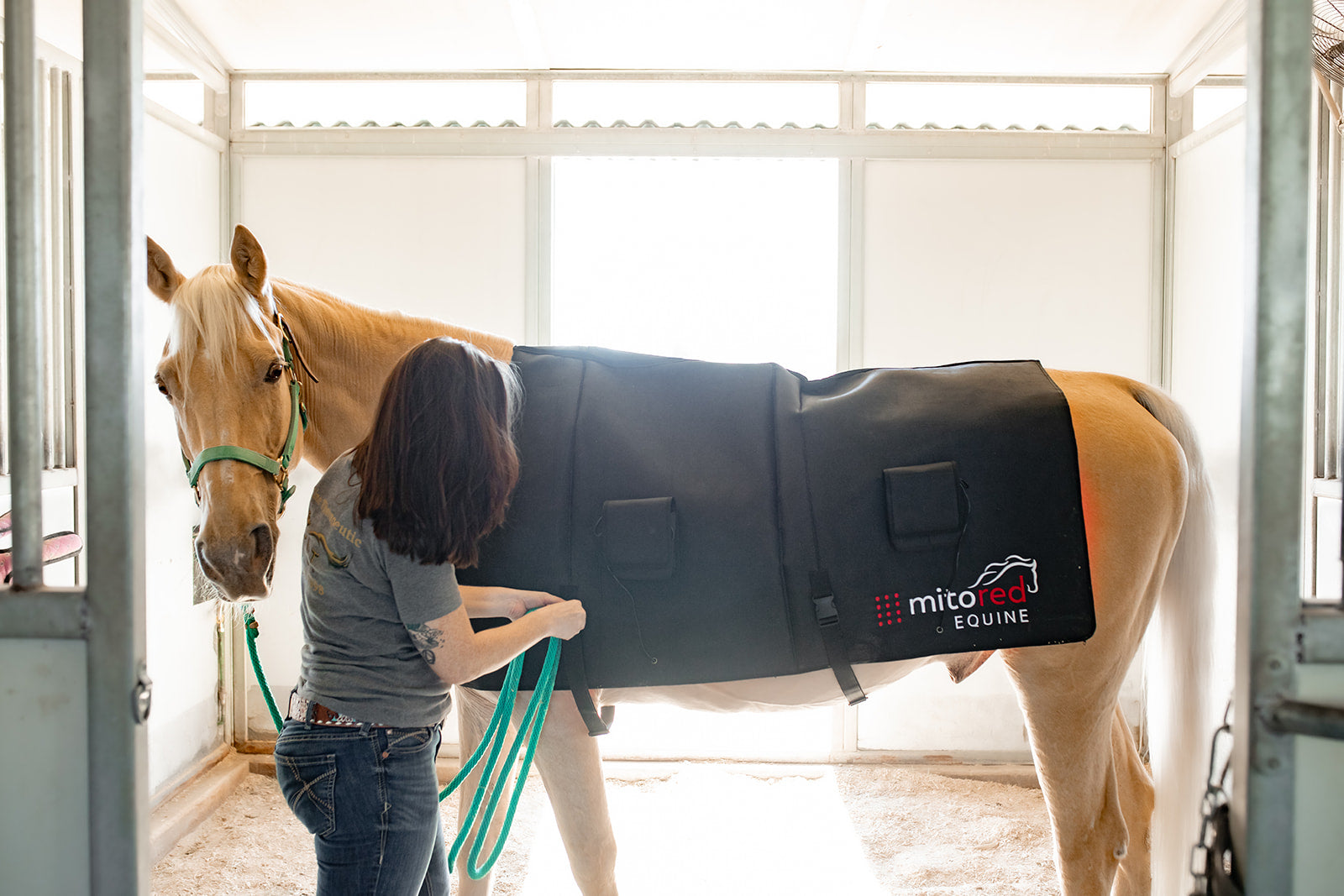 Mito Red Equine | Red Light Therapy for Horses